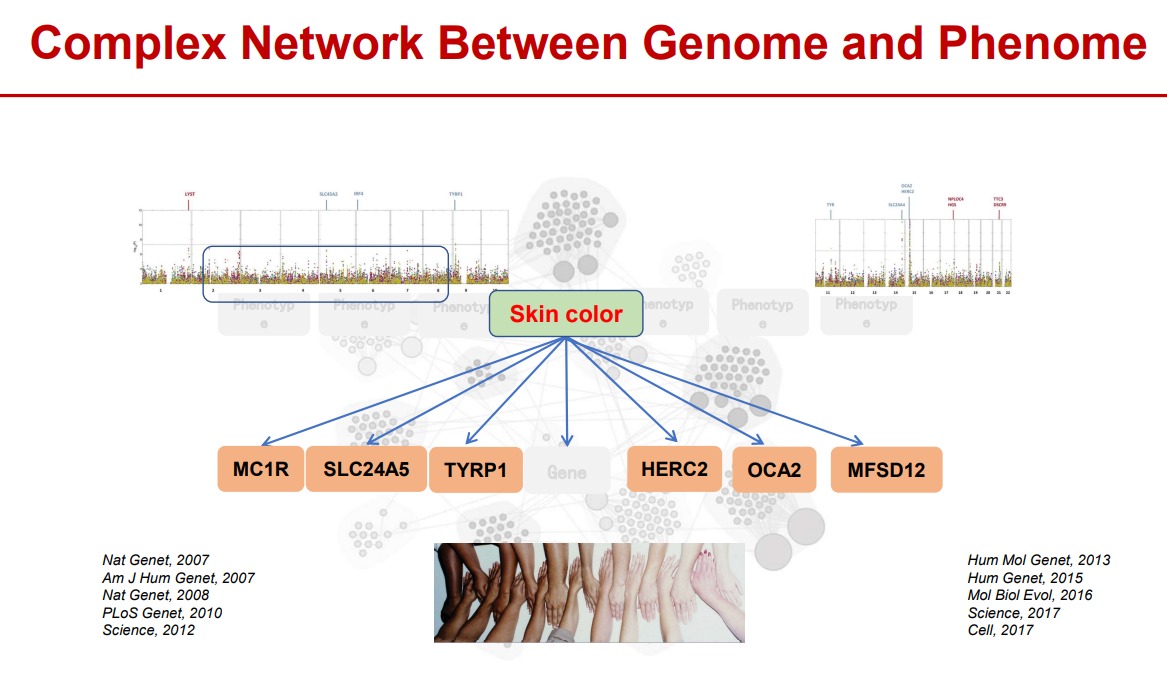 Finding the "key" to health: from genome to phenotype - KazNMU News
