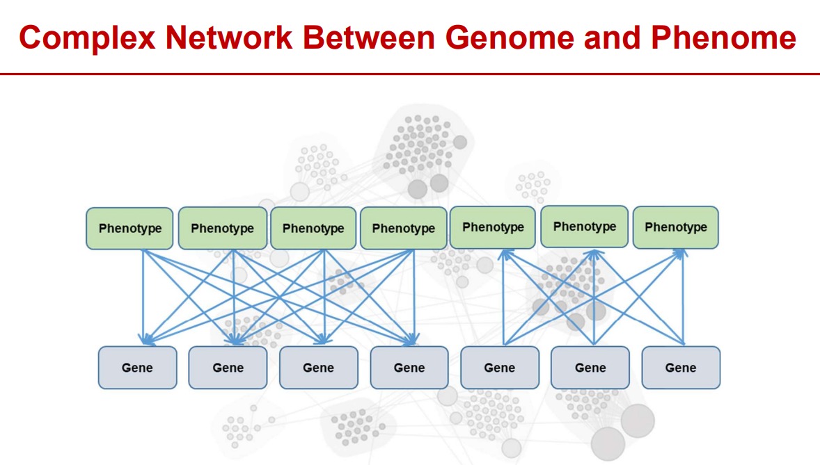 Finding the "key" to health: from genome to phenotype - KazNMU News