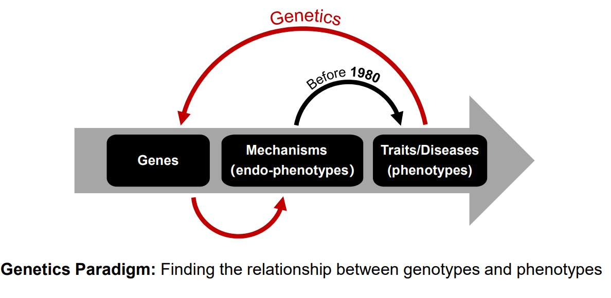 Finding the "key" to health: from genome to phenotype - KazNMU News
